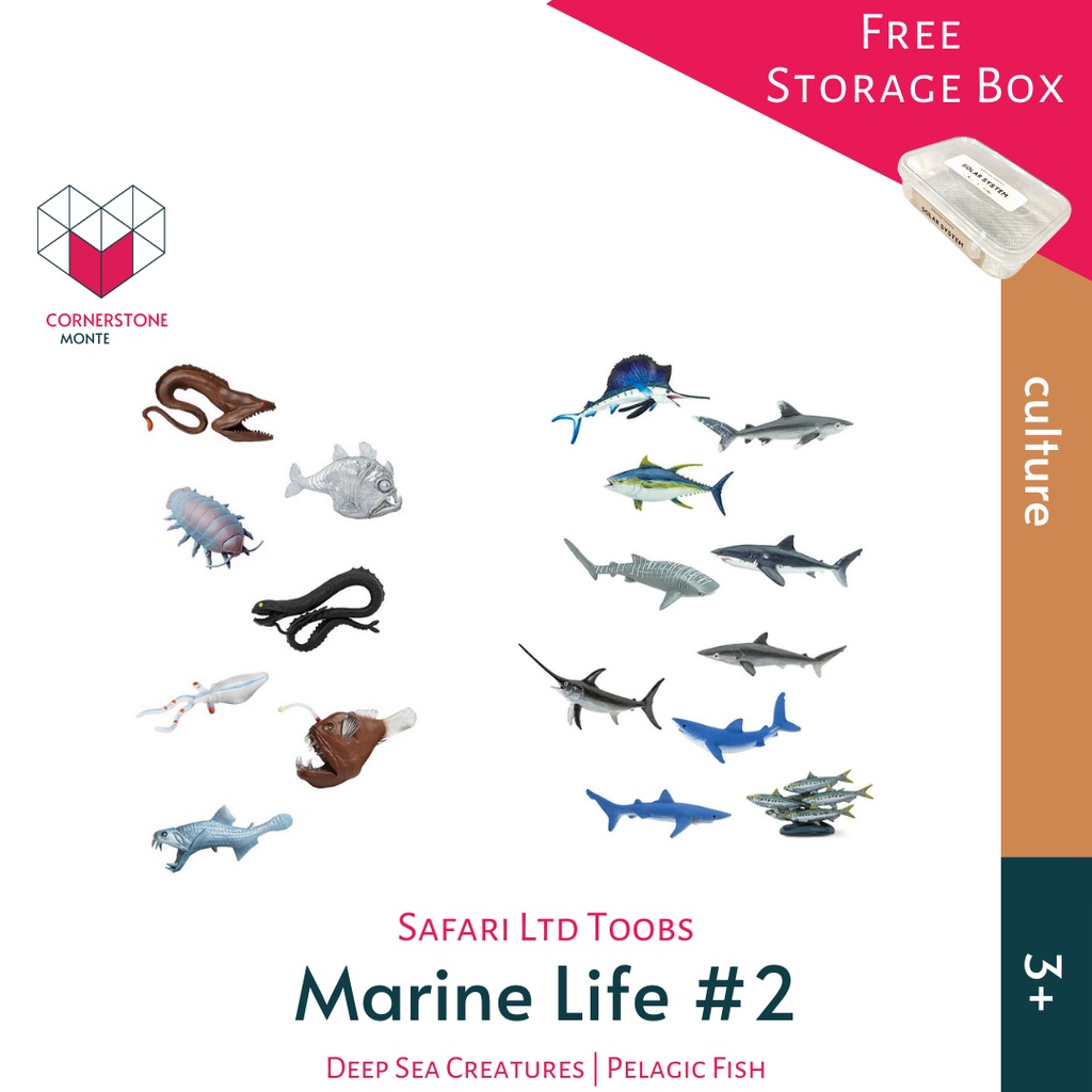 Jual Cornerstone Montessori Safari Toob Deep Sea Creatures Pelagic Fish ...