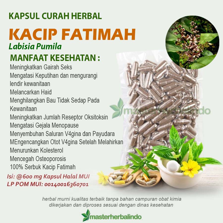 Jual Herbal Kacip Fatimah 200x600mg Kapsul Membantu Melancarkan Siklus ...