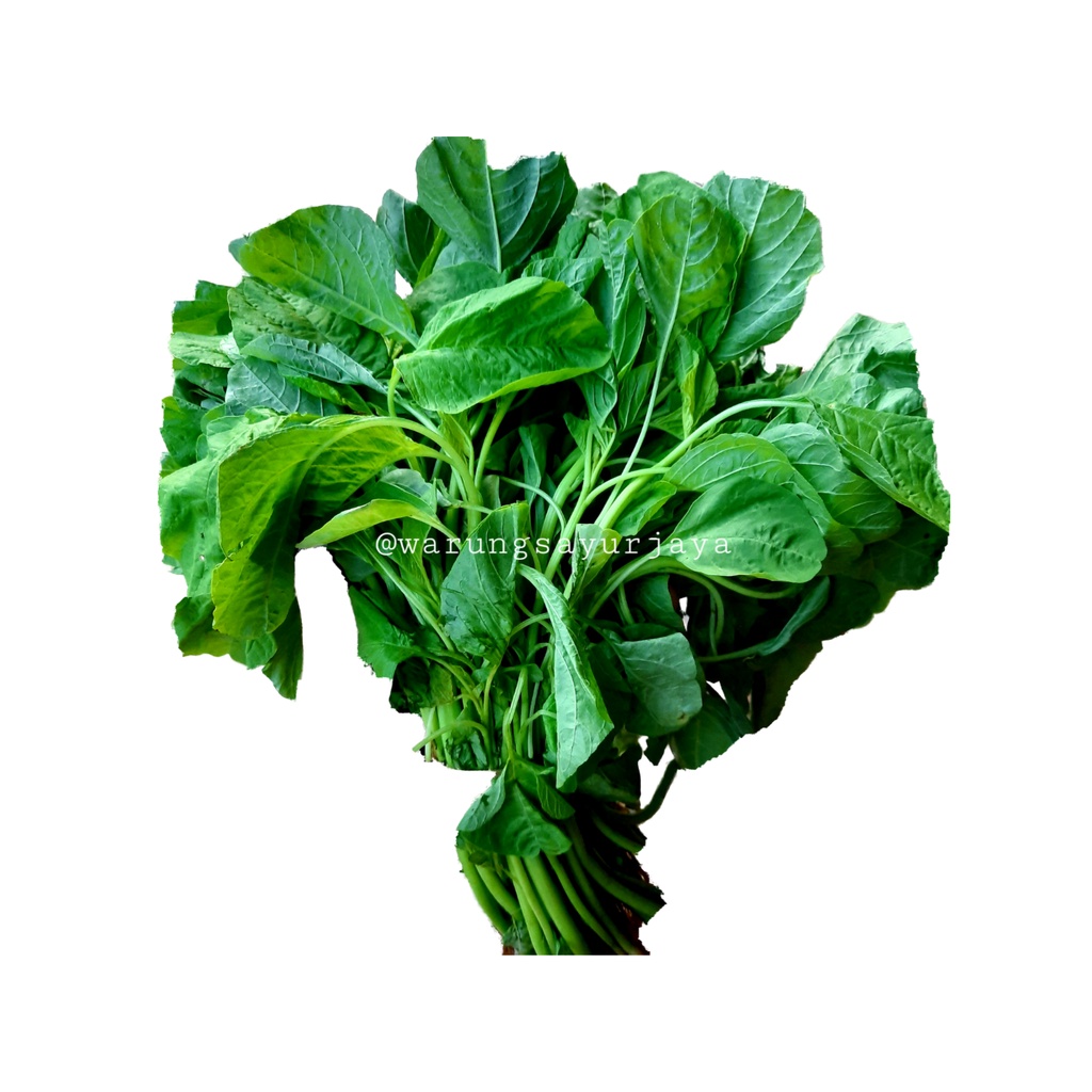 Jual Bayem / Bayam / ikat | Shopee Indonesia