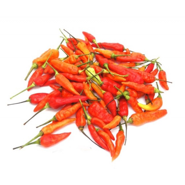 Jual KIRIM BESOK Cabai / Cabe / Lombok Rawit (±100gr) | Shopee Indonesia