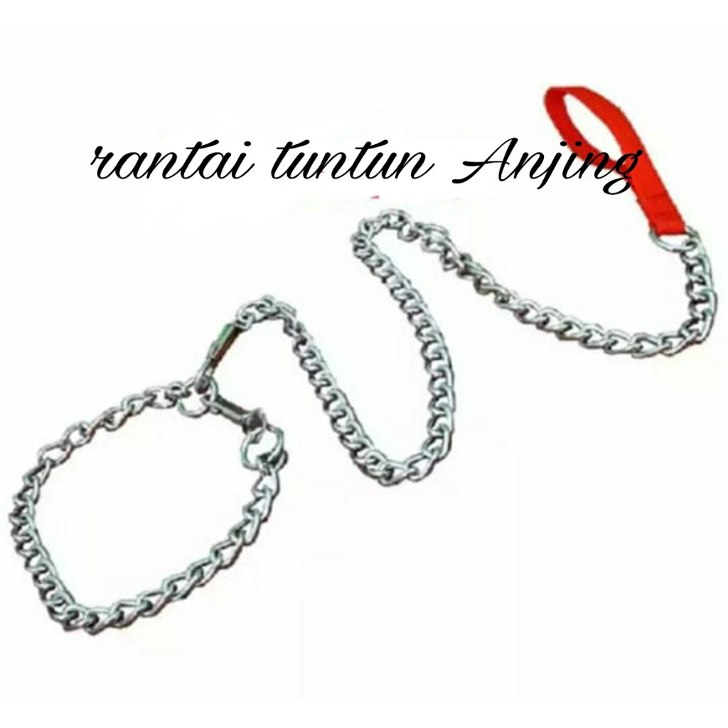 Jual RANTAI TUNTUN ANJING MONYET KUCING HEWAN 3 MM | Shopee Indonesia