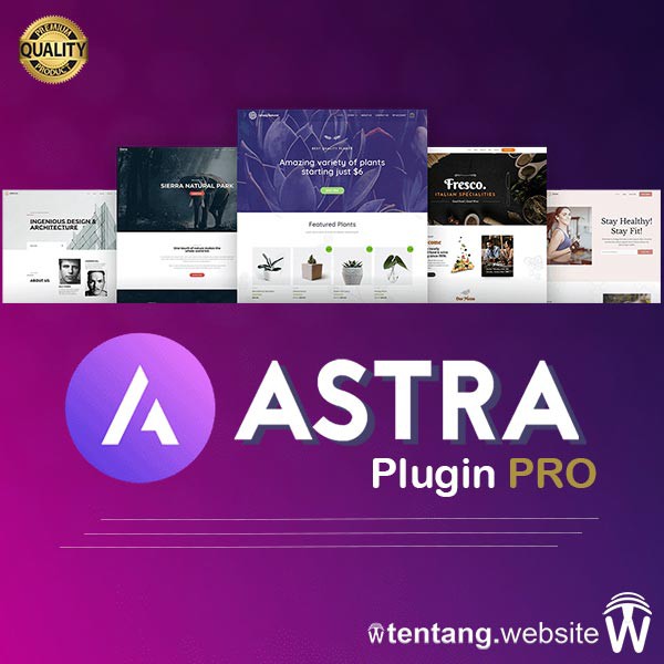 Jual GePeeL - Astra Pro Wordpress Plugin - terbaru | Shopee Indonesia