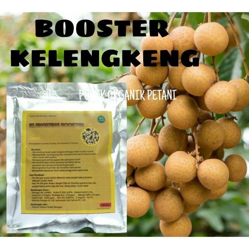 Jual BOOSTER KELENGKENG#Pupuk organik untuk kekengkeng agar cepat berbuah dan lebat | Shopee ...