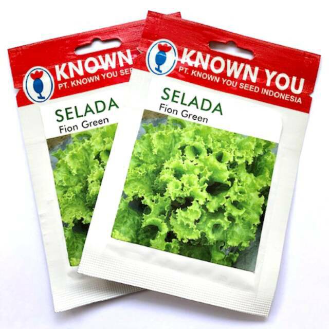 Jual Benih bibit selada hijau FION GREEN 5 gr- KNOWN YOU SEED | Shopee ...