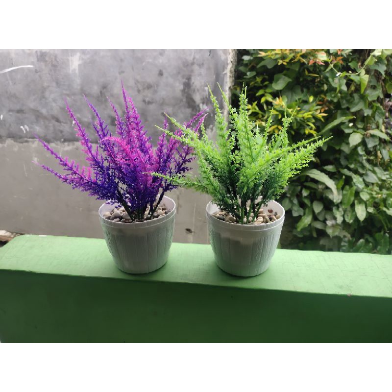 Jual tanaman hias cemara palsu / bunga artificial / dekorasi bunga ...