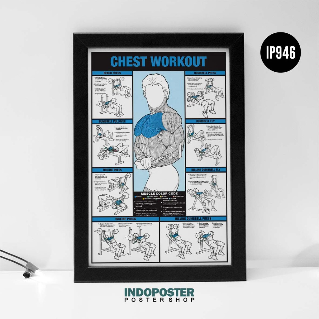 Jual Poster Gym Fitness Binaraga Body Building Petunjuk Latihan Work ...
