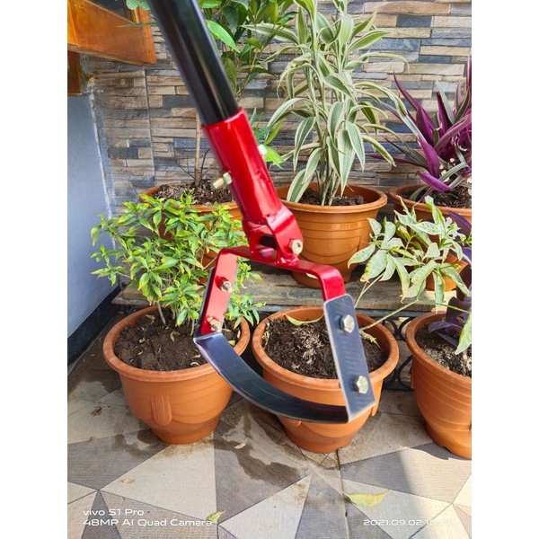 Jual CANGKUL GULMA / CANGKUL RUMPUT LIAR / CANGKUL PENYIANG GULMA ...