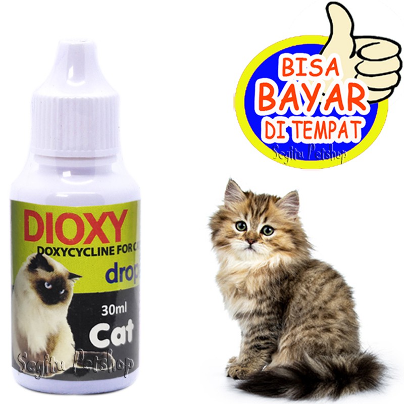 Jual OBAT DEMAM FLU PILEK DIARE MUNTAH KUCING ANTI BAKTERI ANTIBIOTIK ...