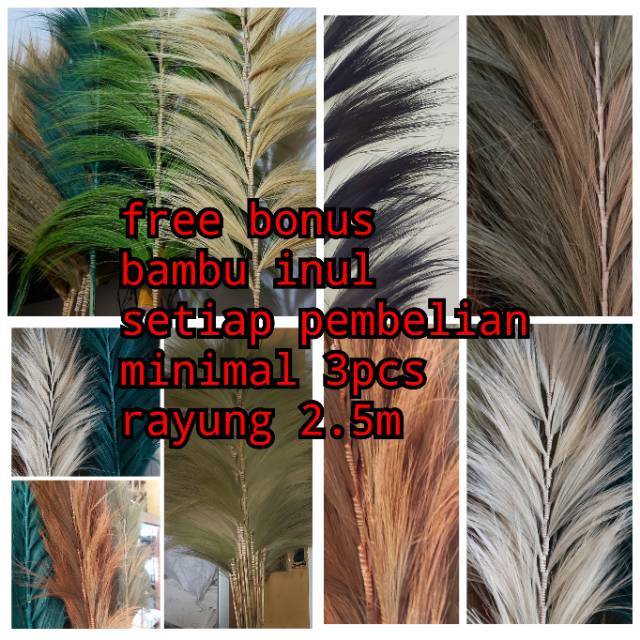 Jual bunga kering rayung tangkai stik pampas Home decor | Shopee Indonesia