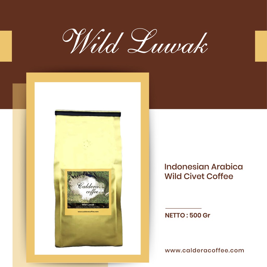 Jual Kopi Arabica Caldera Coffee - Wild Luwak (500gr) | Shopee Indonesia