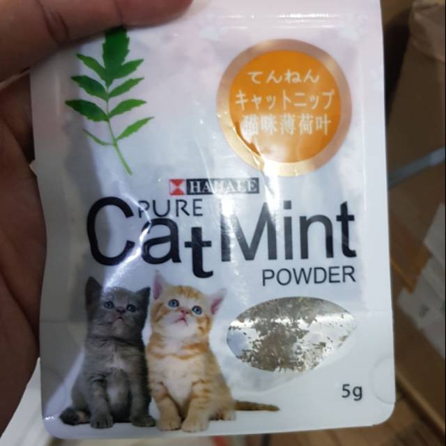 Jual Serbuk Catnip Kucing / Catmint Daun | Shopee Indonesia Jual Serbuk Catnip Kucing / Catmint Daun | Shopee Indonesia