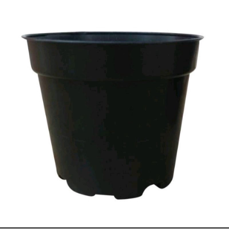 Jual pot tanaman hias pot hitam ukuran 20cm | Shopee Indonesia