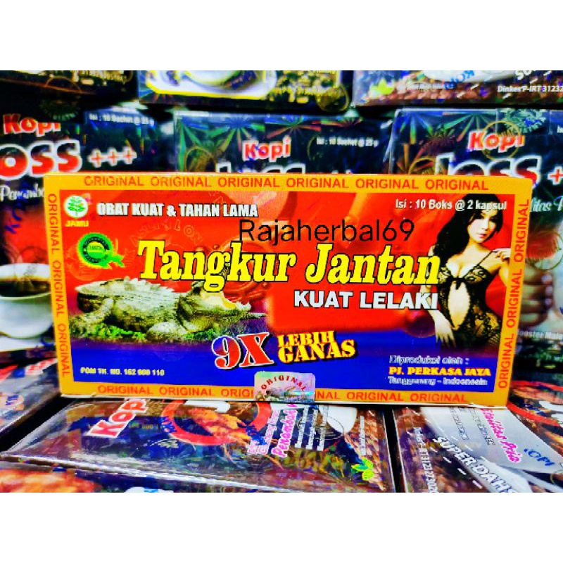 Jual Tangkur jantan orijinal | Shopee Indonesia