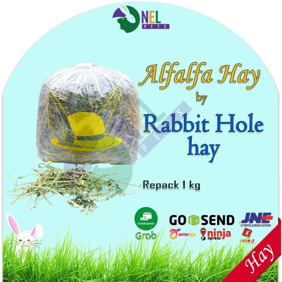Jual ALFALFA HAY by rabbit hole hay/pakan kelinci marmut torto chinchil ...