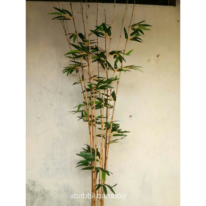 Jual 1 Bambu LE5 DAUN BAMBU artificial / 1LE DB5 | Shopee Indonesia