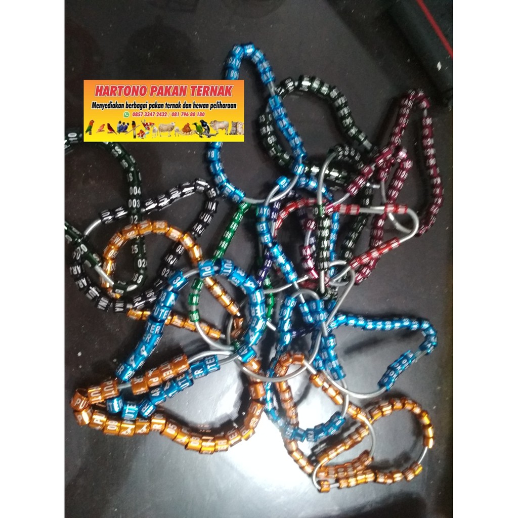 Jual Ring burung laser / Ring penanda burung ( NAMA TIDAK BISA PILIH ...