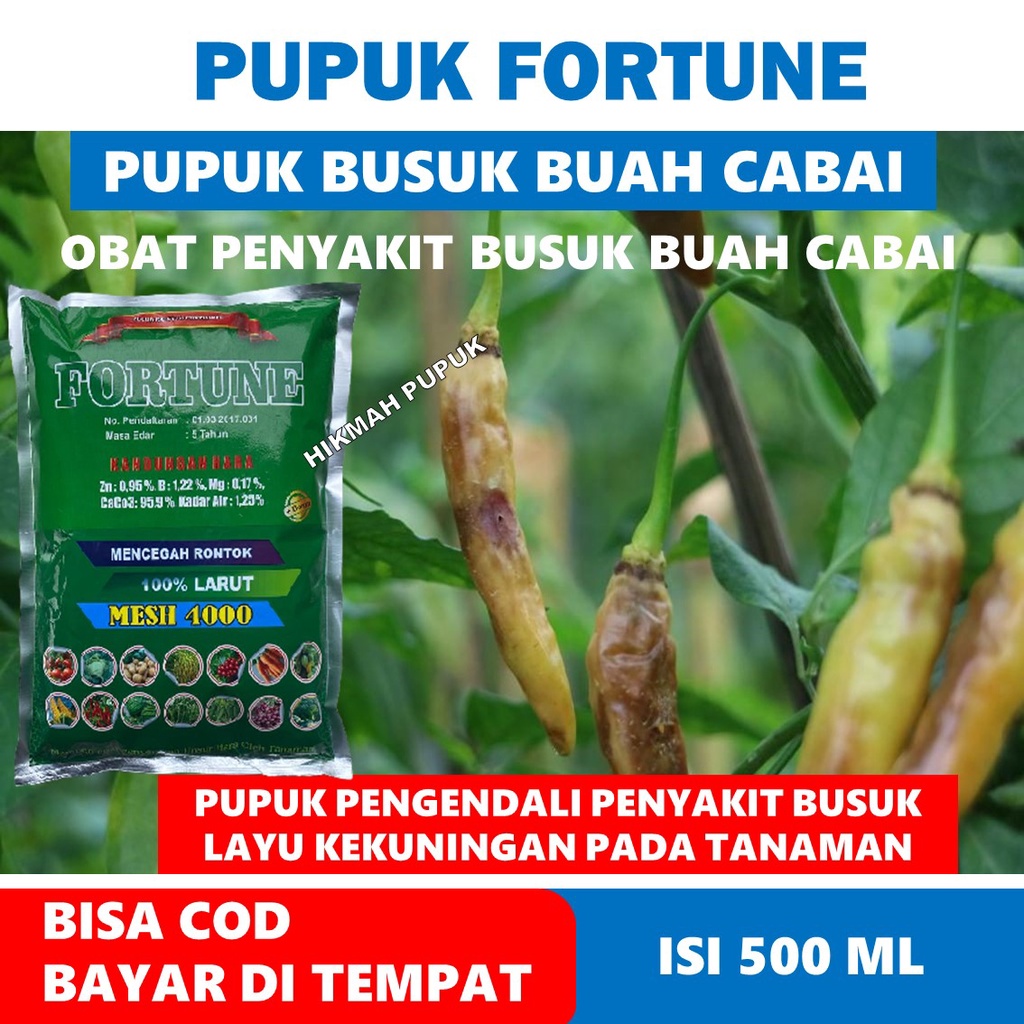 Jual (PROMO COD) FORTUNE isi 1KG Obat Busuk Buah Pada cabe/cabai - Obat ...