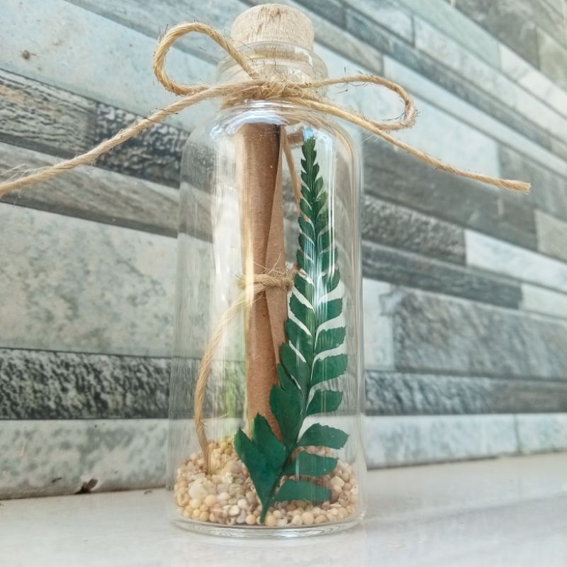 Jual Surat Dalam Botol | Shopee Indonesia