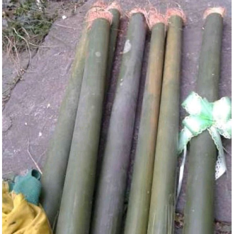 Jual obor bambu 1 ruas panjang 50 cm | Shopee Indonesia