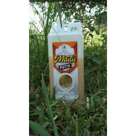Jual Madu Putih Mabruuk 1kg Original 1 kg | Shopee Indonesia