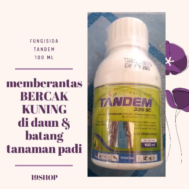 Jual FUNGISIDA TANDEM 100 ML BERANTAS BERCAK KUNING DAUN PADI/ KUNING ...