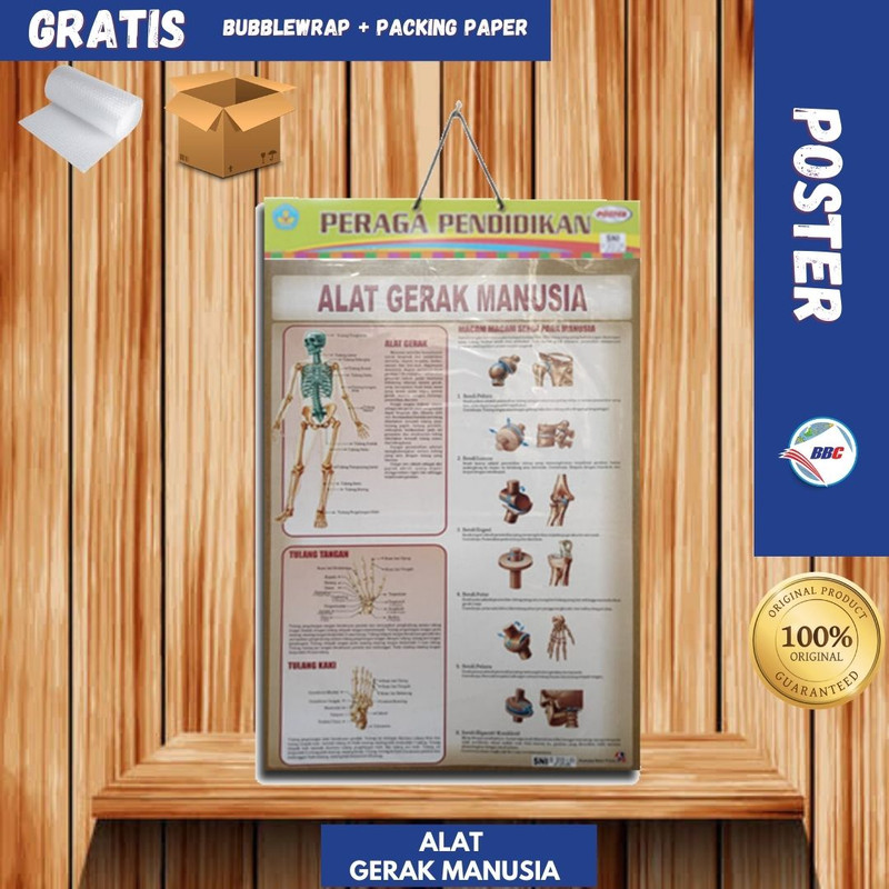Jual POSTER EDUKASI ALAT GERAK MANUSIA | Shopee Indonesia