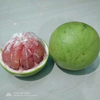 Jual Jeruk Bali Terlengkap & Harga Terbaru Desember 2024 | Shopee Indonesia