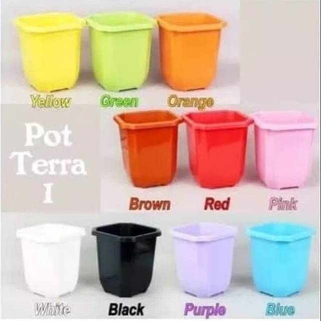Jual Pot bunga terra kotak warna warni 16,5cm TERA | Shopee Indonesia