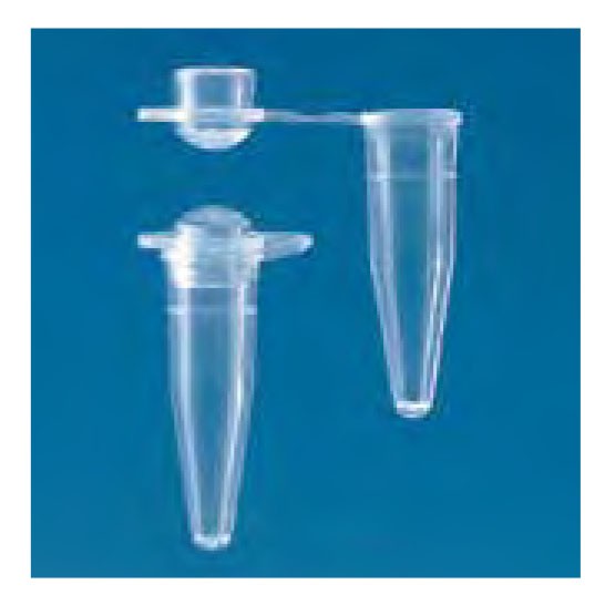 Jual TABUNG PCR 0.2mL. PCR Tubes. Dome Cap. Pkg/1000pcs. Tabung Sentrifuse. BRAND | Shopee Indonesia