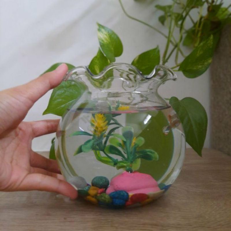 Jual aquarium bulat kaca 1,5 L | Shopee Indonesia