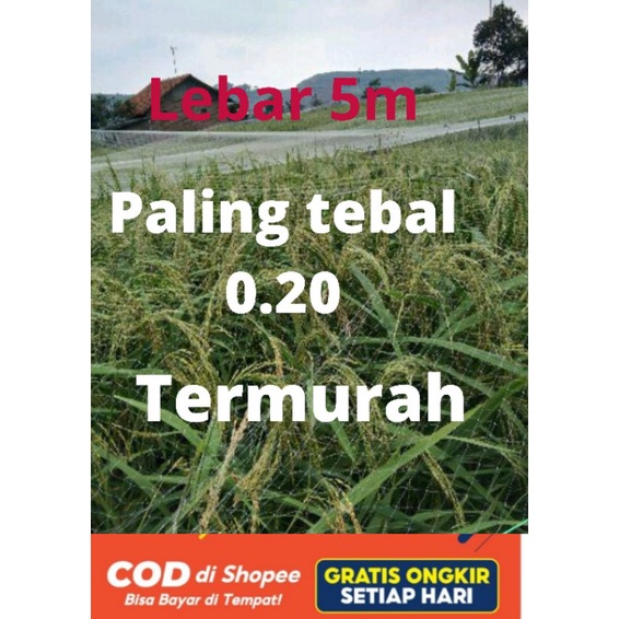 Jual JARING BURUNG/JARING PADI/JARING SAWAH UNTUK PENGHALO PENGAMAN ...