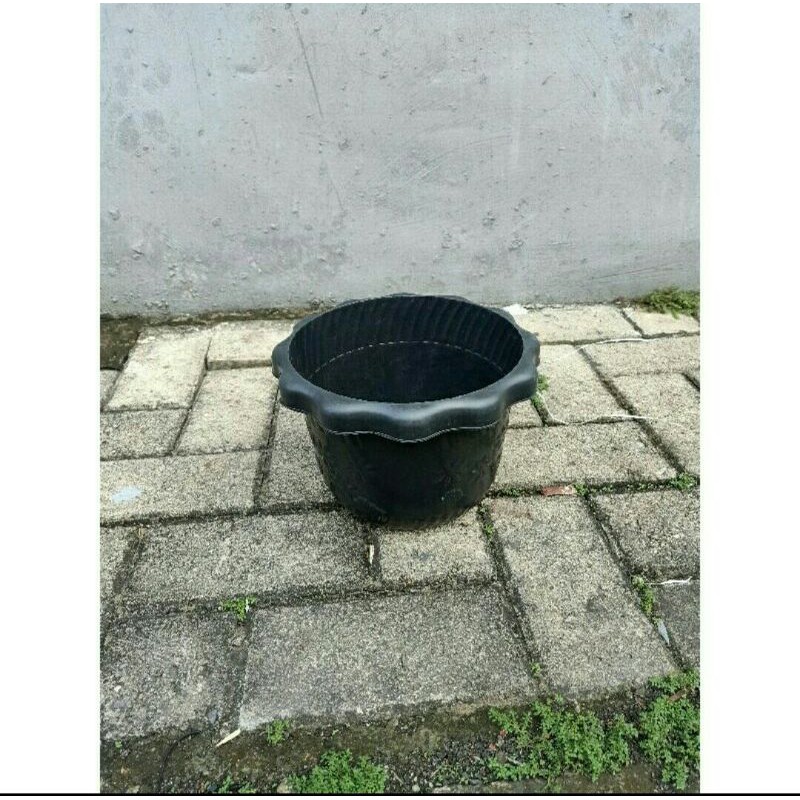 Jual Pot Primera | Shopee Indonesia