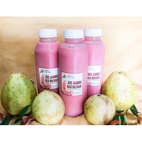 Jual Jus jambu biji merah | Shopee Indonesia