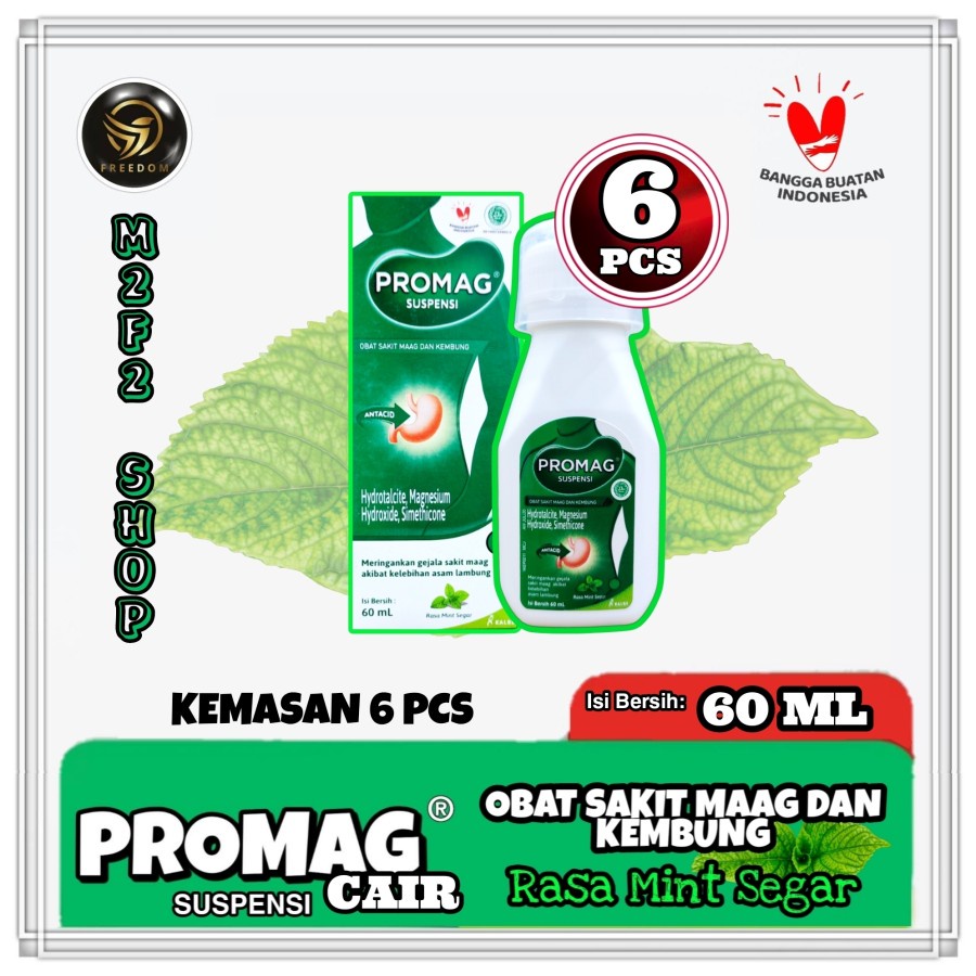 Jual Promag Cair Obat Sakit Maag dan Kembung Botol Rasa Mint - 60 ml ...
