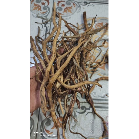 Jual patahan akar rasamala persi 150 gram aqurium | Shopee Indonesia