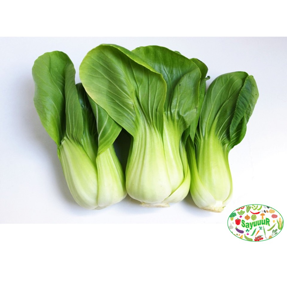 Jual sayur pakoy/pokcay perikat | Shopee Indonesia