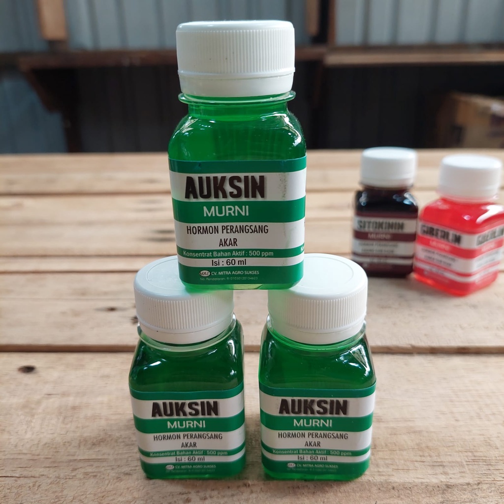 Jual Pupuk Hormon Auksin Murni 60ml ZPT Pemacu Pertumbuhan Akar Semua ...