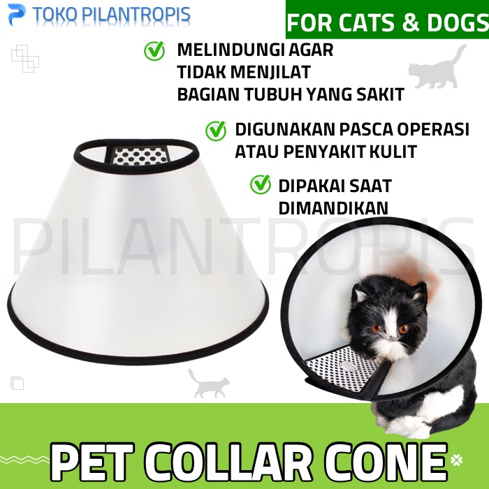 Jual PET COLLAR CONE KUCING ANJING COLAR CORONG PENUTUP PELINDUNG LEHER ...