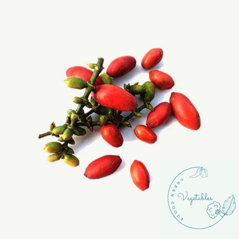 Jual TANGKIL/ BIJI MELINJO dan DAUN TANGKIL | Shopee Indonesia