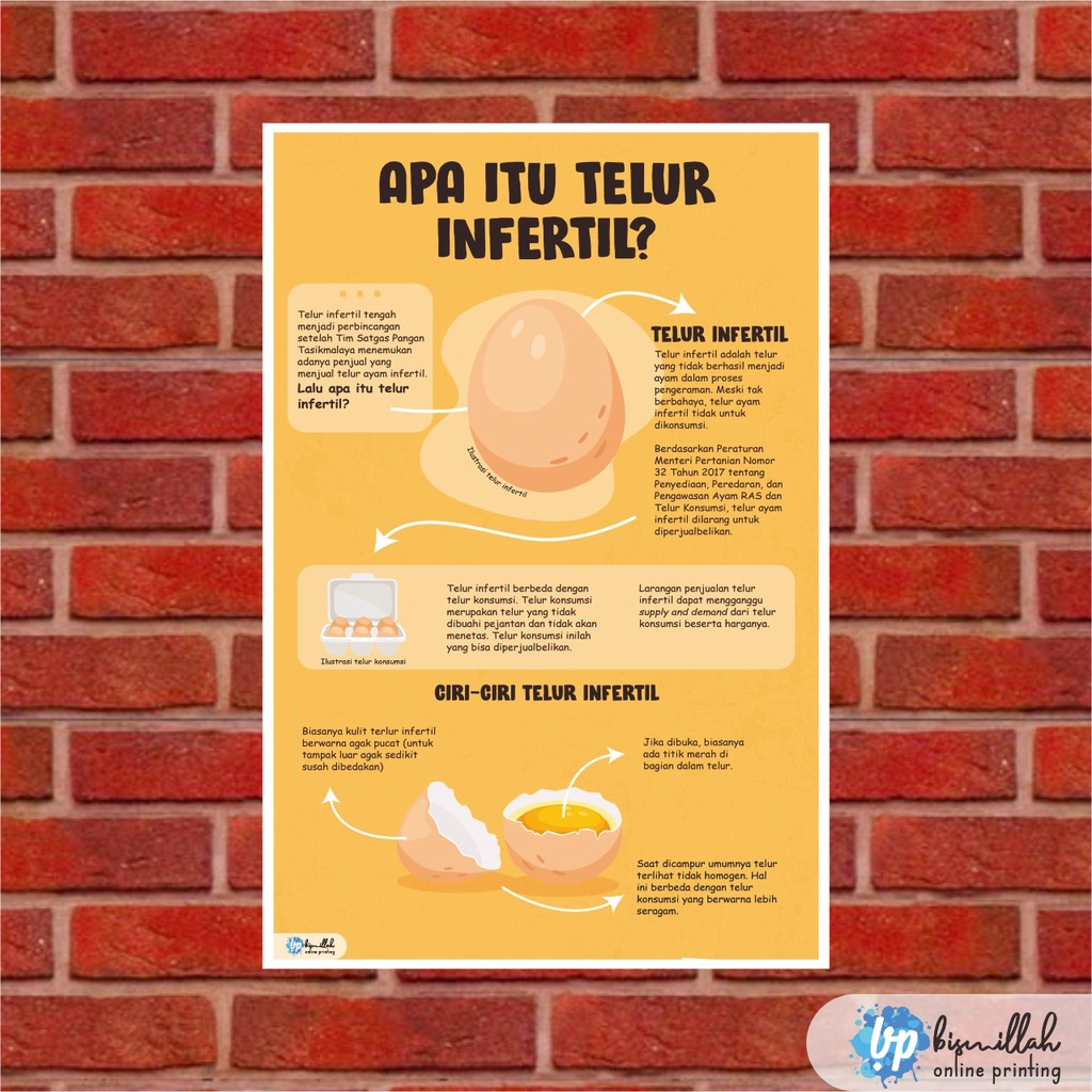 Jual Poster Kesehatan Apa itu telur infertil | Shopee Indonesia