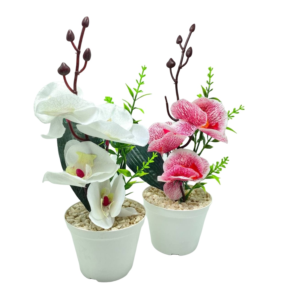 Jual Paket Pot dan Bunga Anggrek Hias PLASTIK - Pot Bunga - Tanaman ...