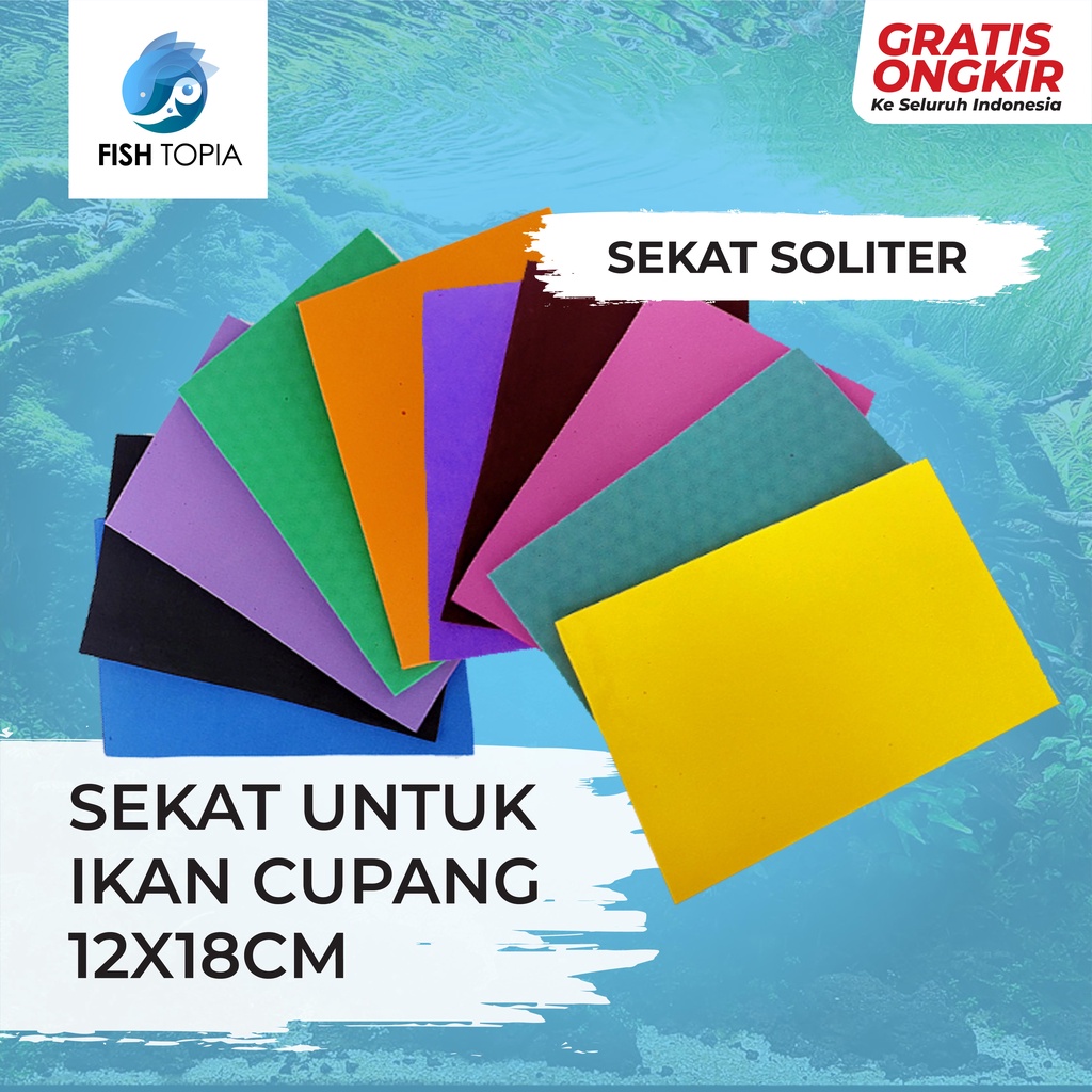Jual Sekat Soliter Sekat Aquarium Ikan Cupang Ikan Hias 12 x 18 cm Busa ...