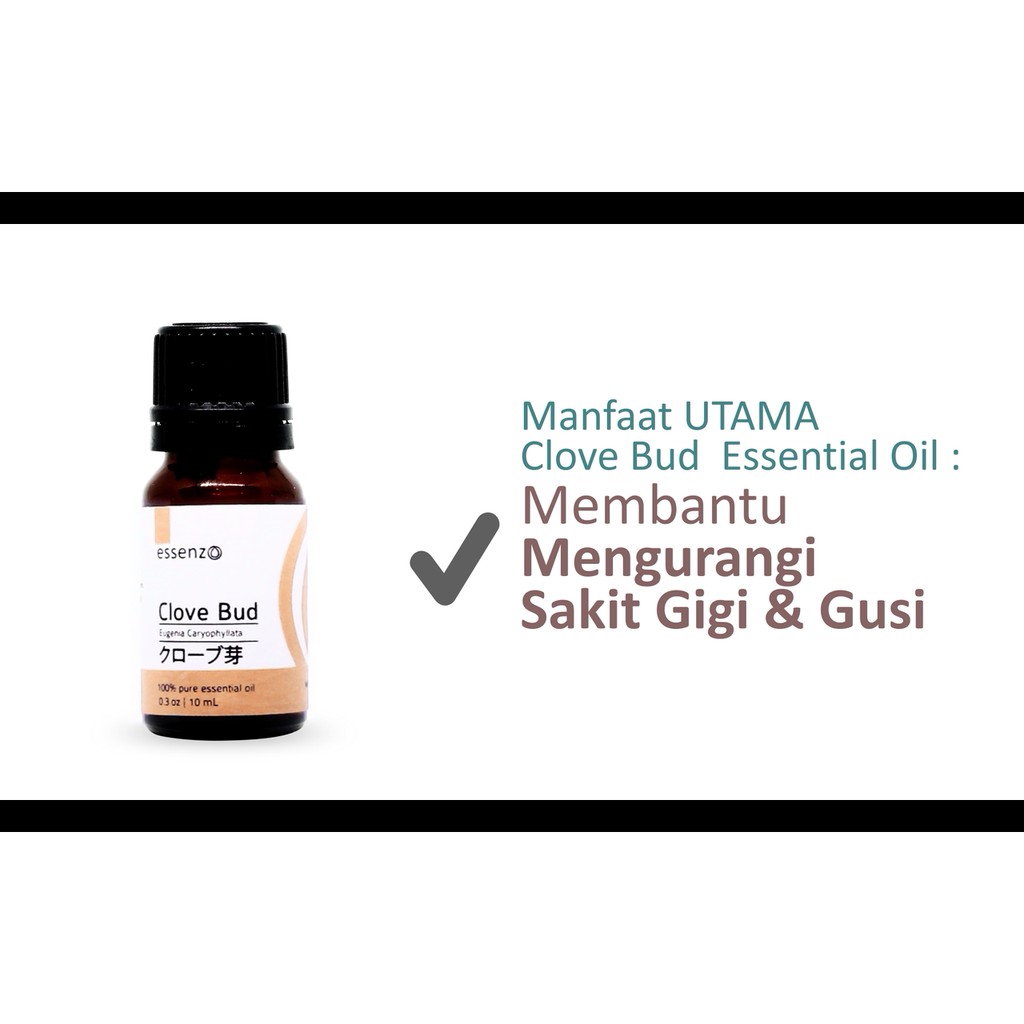 Jual Clove Bud Essential Oil (sakit gigi) | Shopee Indonesia