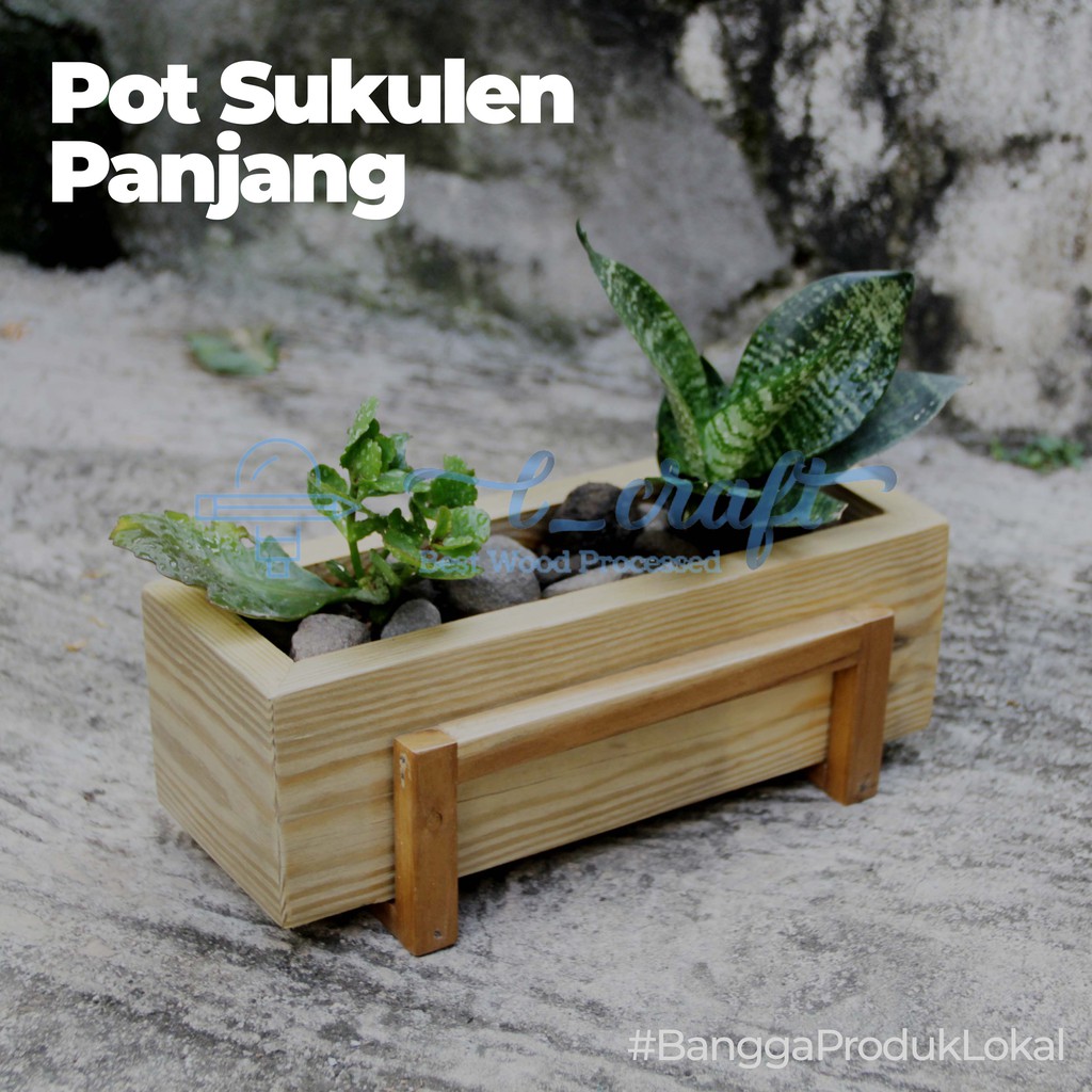 Jual Pot Sukulen Panjang | Pot Bunga Kaktus | Ukuran 25cm x 9cm ...