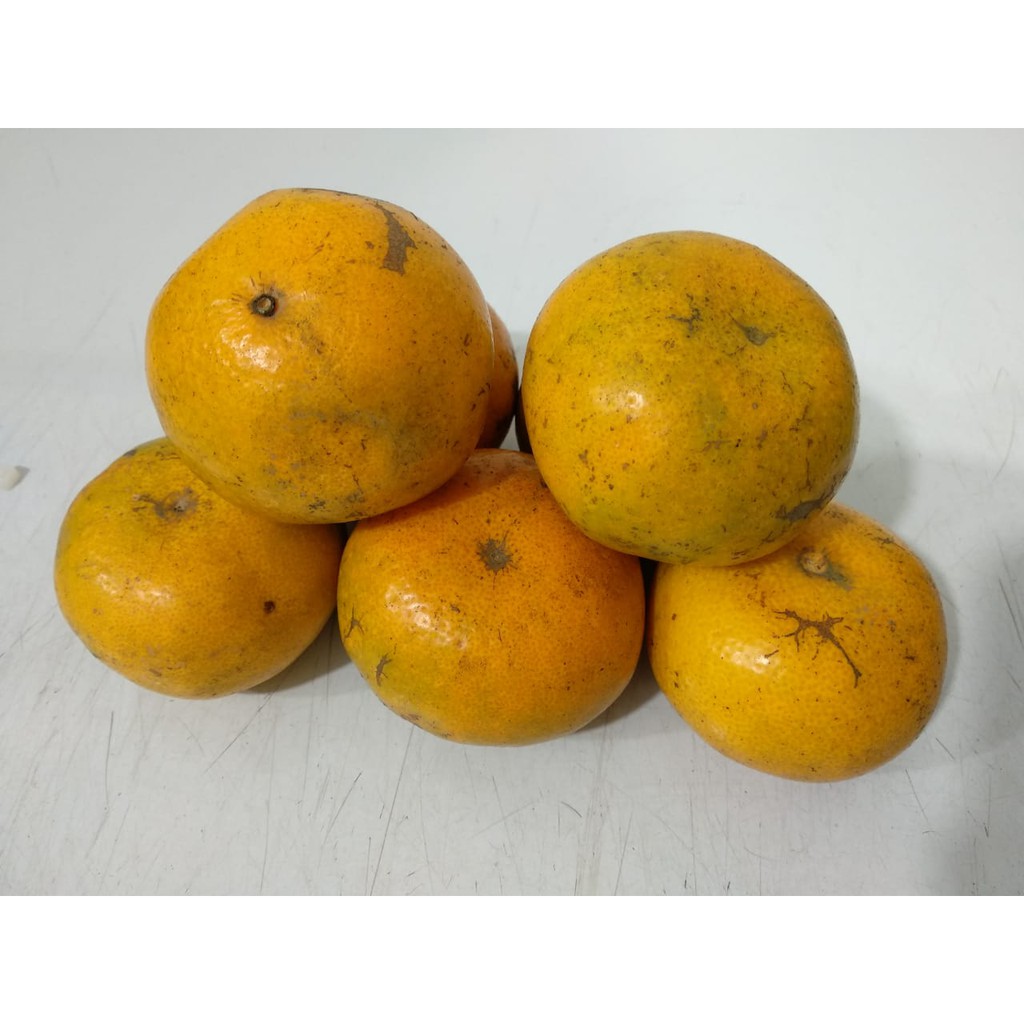 Jual Jeruk Medan SP - 1 Kg isi 6-8 Buah | Shopee Indonesia