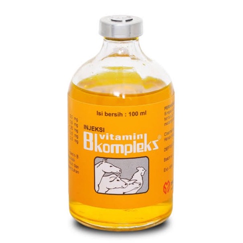 Jual Injekvit B Plex (Vitamin B Kompleks Injeksi) | Shopee Indonesia