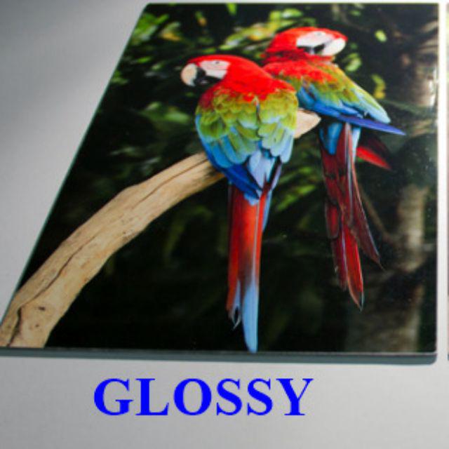 Jual Kertas Stiker Vinyl Merk Camel Digiprint A3+ / Bahan Sticker Vinyl ...