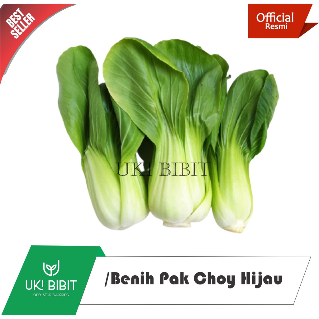 Jual ( 100 Butir ) Benih Biji Pakcoy Hijau | Pakcoy Baby | Pakcoy Putih ...
