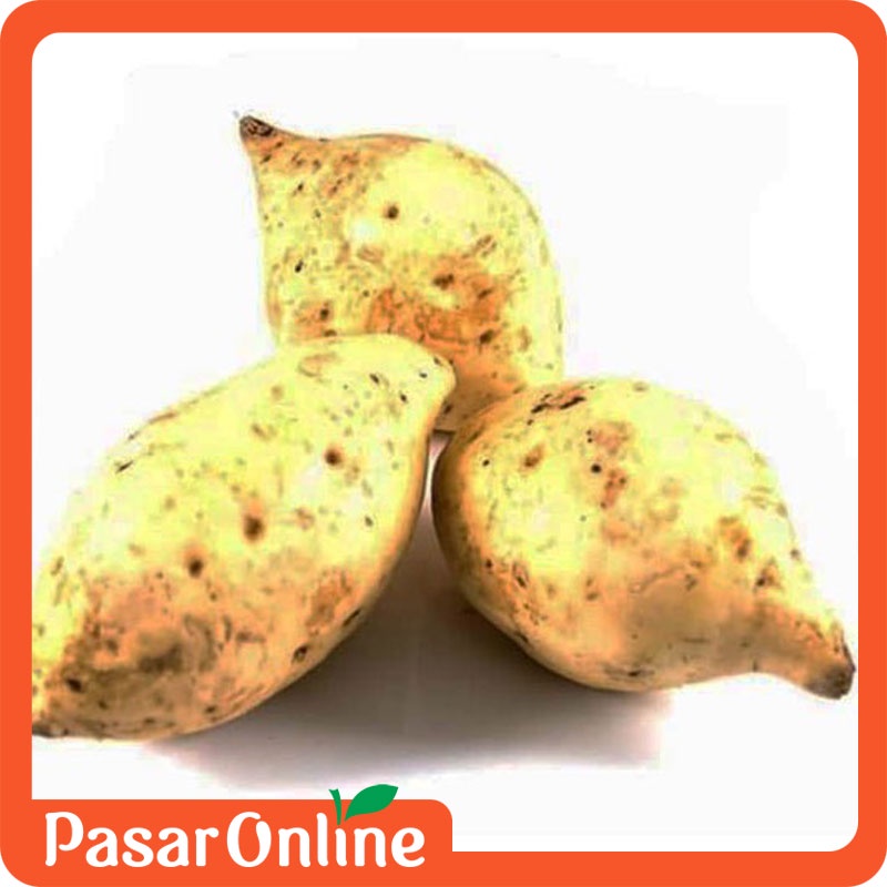 Jual Ubi Putih - 1 Kg | Shopee Indonesia