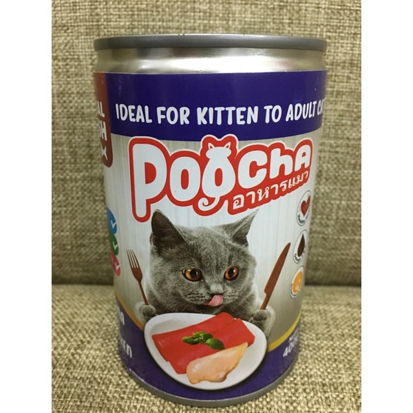 Jual POOCHA Cat 400g - Makanan Kucing Kaleng Basah Kitten Adult Wet ...